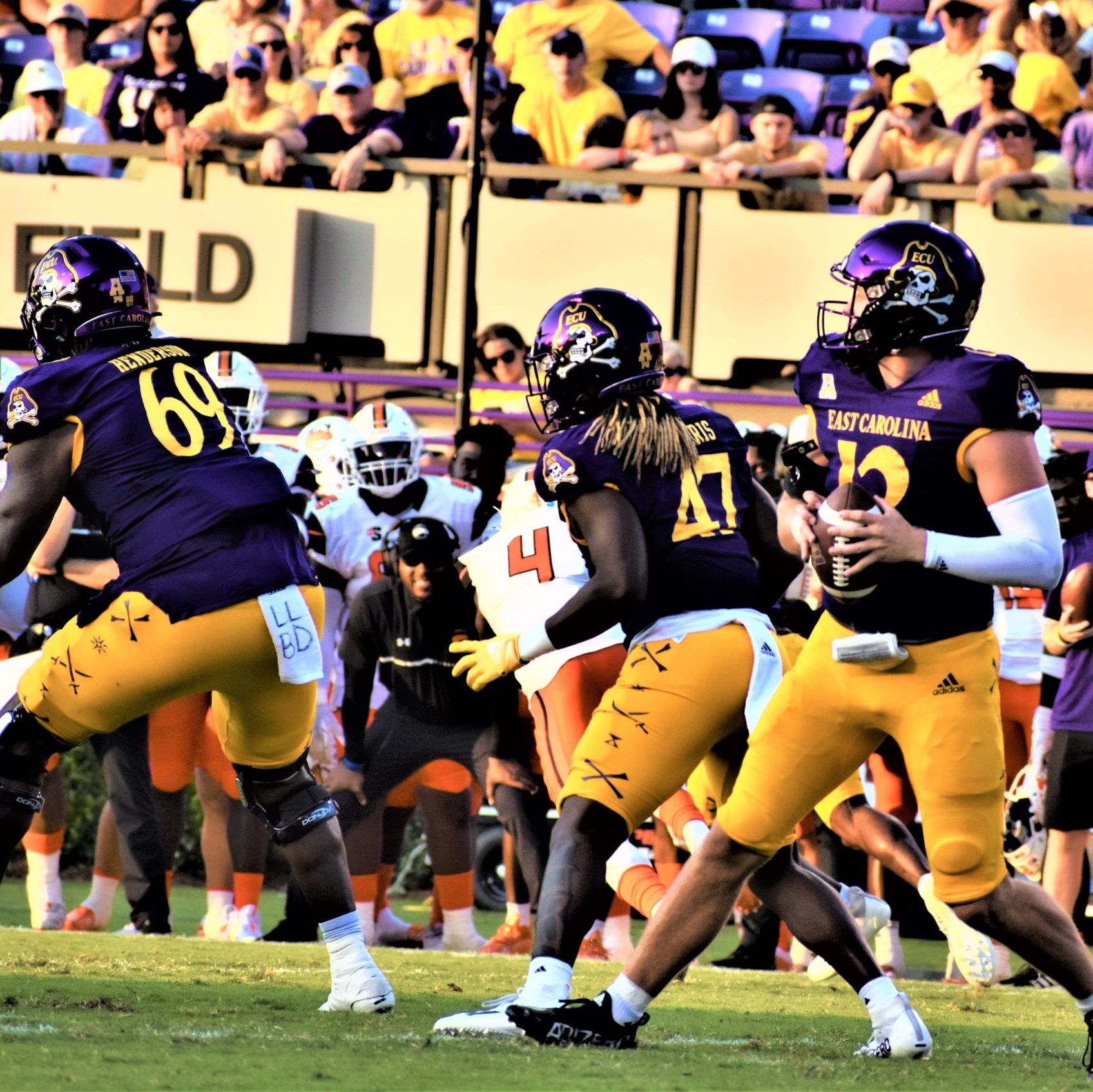 ECU too much for Camels